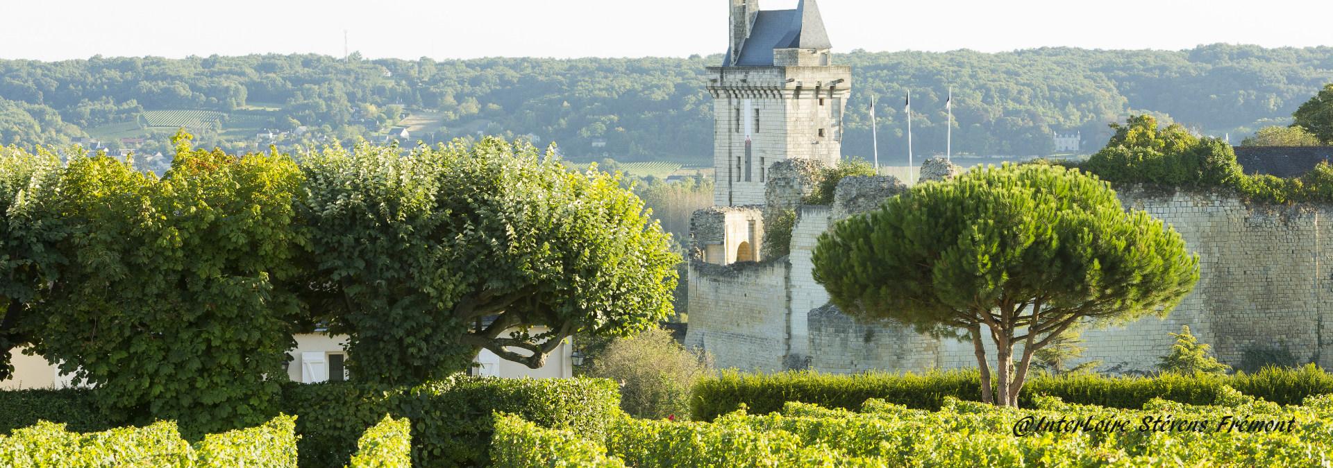 Aventure oenotouristique dans le vignoble Touraine